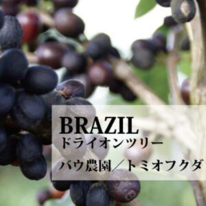 トミオフクダドライオンツリー【豆】200g | Heisei Coffee 平成珈琲 神戸で焙煎したてのコーヒー